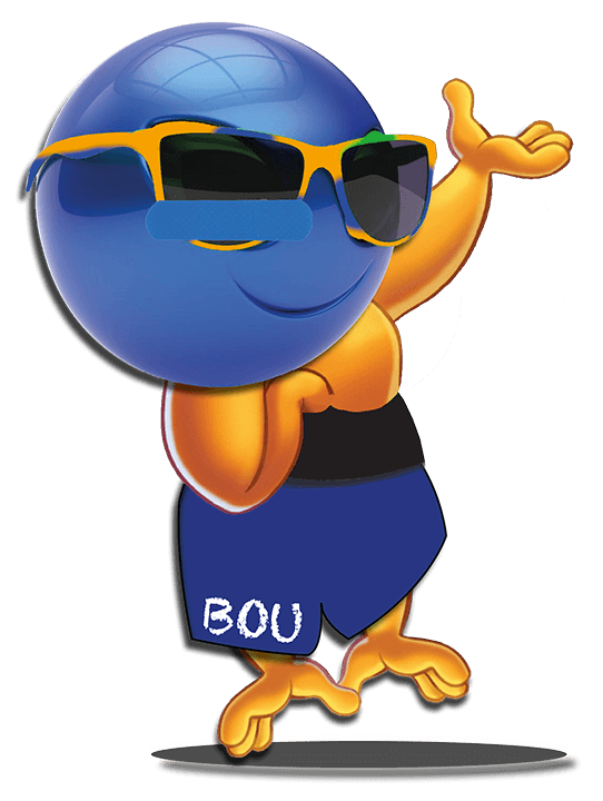 BOU REMIS Chatbot